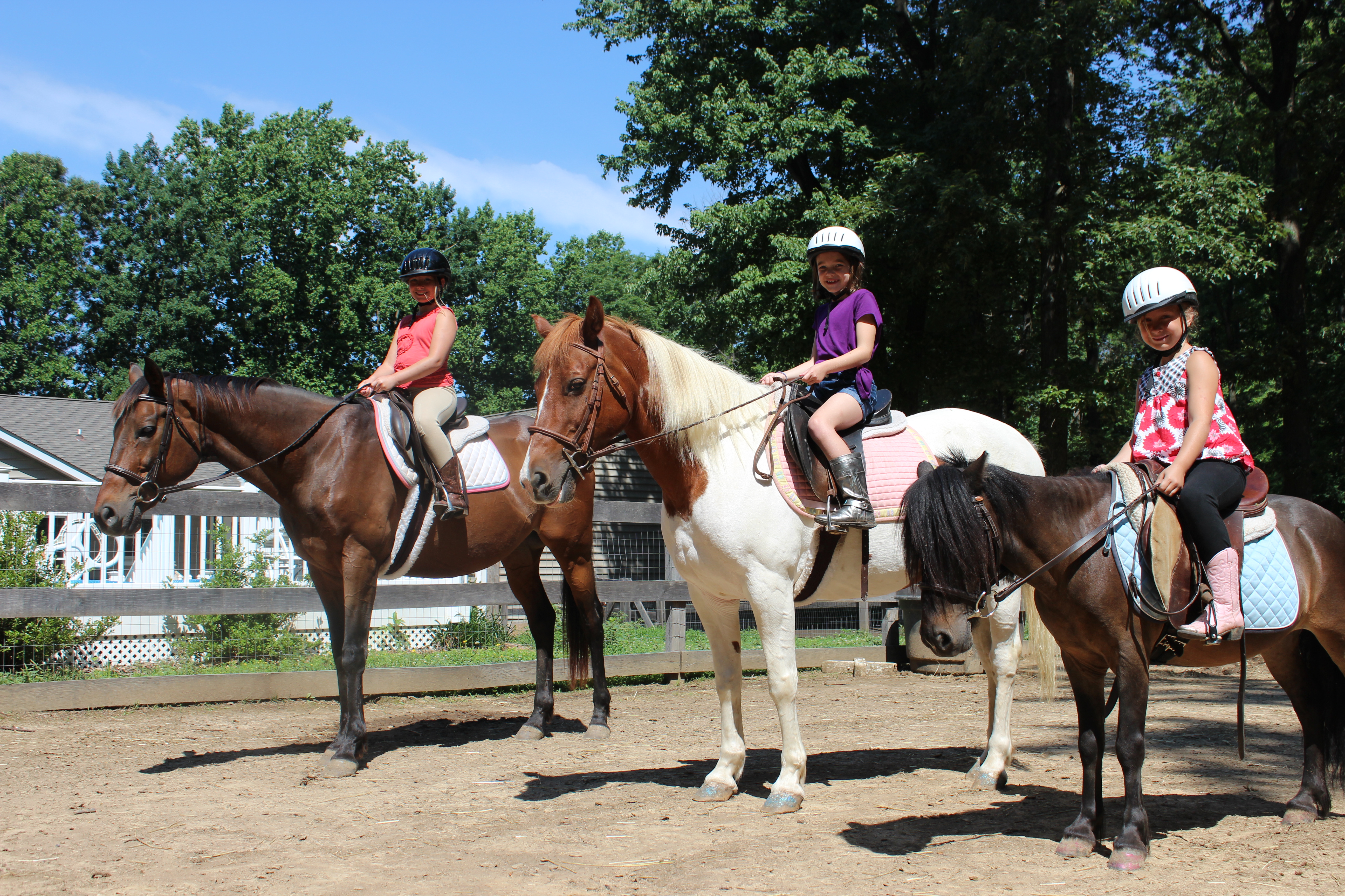 Summer Camp - Cowgirl Up Pony Parties