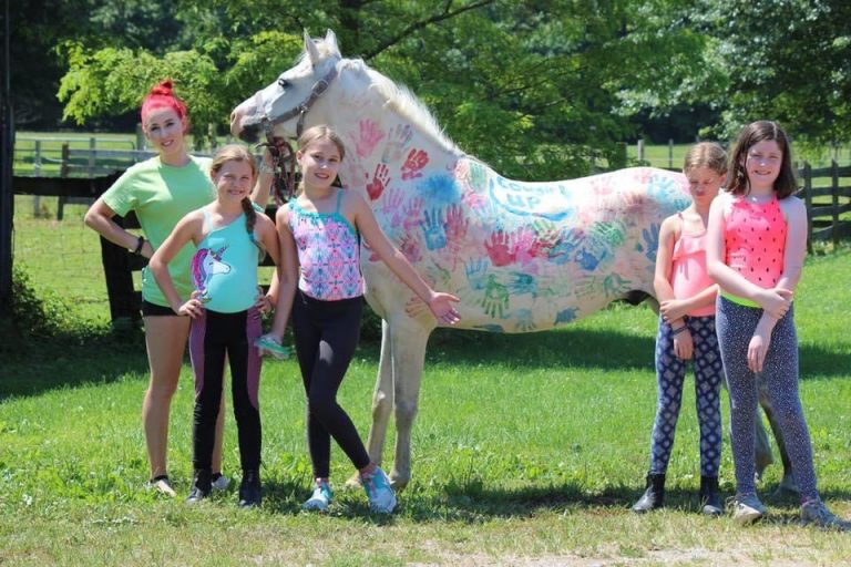 Summer Camp - Cowgirl Up Pony Parties